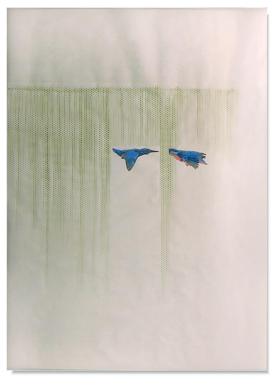 Peinture Nature: Andrea Mazzola, Rudolf zur Lippe, Pascual Jordan ...