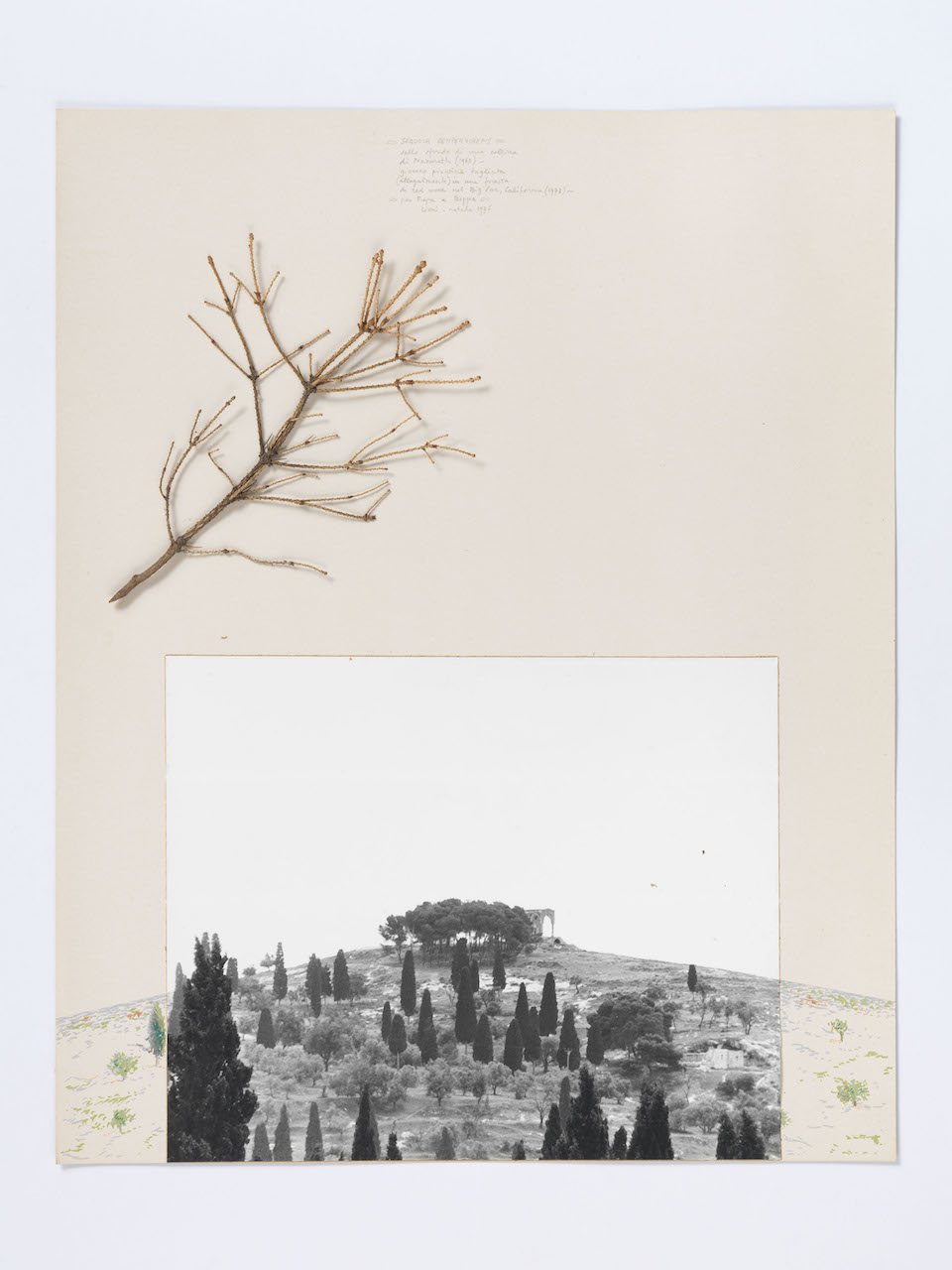 Cioni Carpi e Gianni Melotti. Rivive a Lucca l’avventura dell’Arte ...