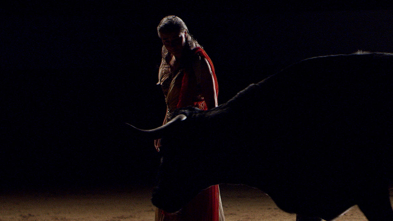 Tauromaquias / Tauromachie. Sguardi contemporanei sul mito mediterraneo ...
