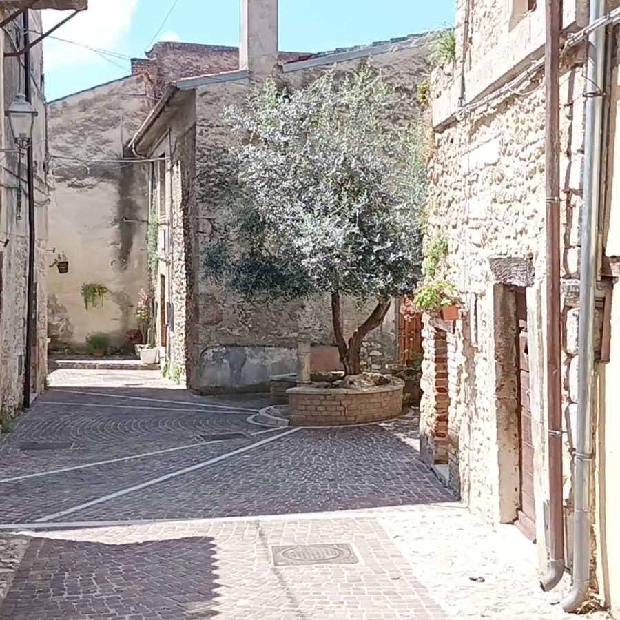 Casa Appennino, sui monti Lucretili. Nuovo luogo d'arte e d'incontro. Intervista all'artista ...