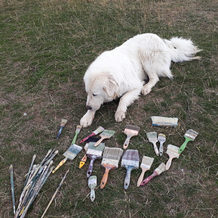 Casa Appennino, sui monti Lucretili. Nuovo luogo d'arte e d'incontro. Intervista all'artista ...