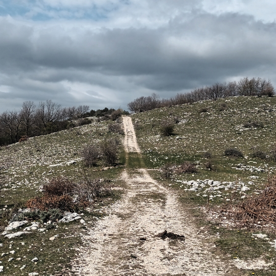 Casa Appennino, sui monti Lucretili. Nuovo luogo d'arte e d'incontro. Intervista all'artista ...