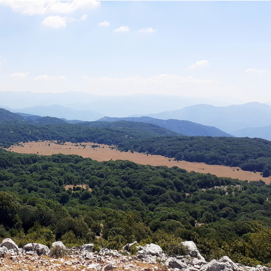 Casa Appennino, sui monti Lucretili. Nuovo luogo d'arte e d'incontro. Intervista all'artista ...