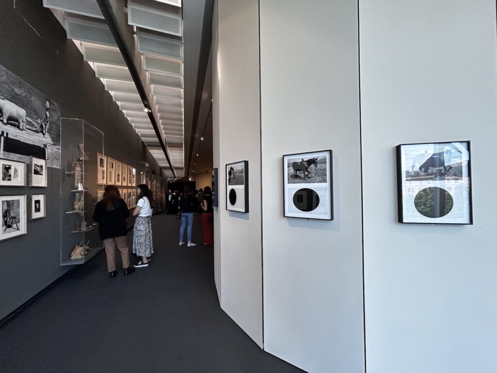 Mario Cresci al MAXXI di Roma. Con l’arte cresci tu e il tuo territorio ...