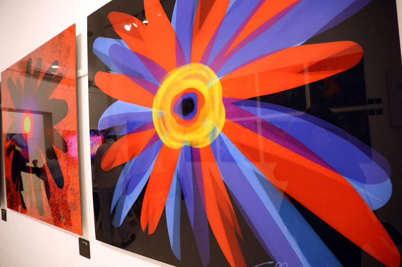 Carlo Gasperoni, Nature Wonder a Venezia - art a part of cult(ure)