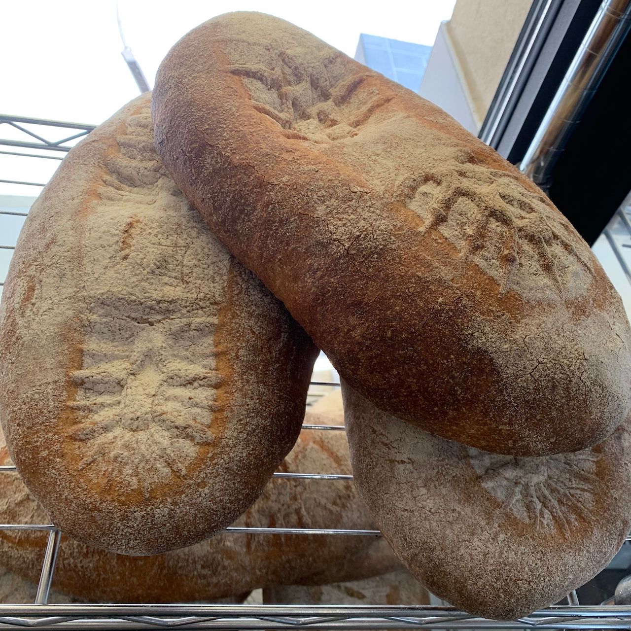 Palinsesti culturali per città e territori. Il Caso Panorama Italics ...