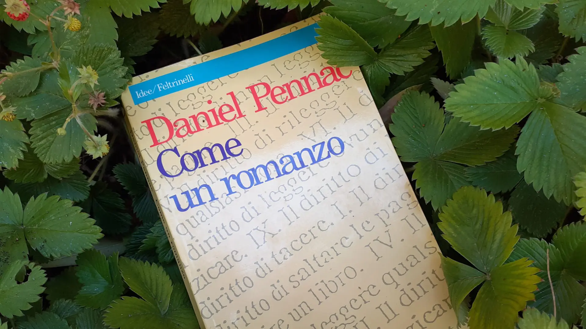 Come un romanzo. Il libero piacere di leggere secondo Daniel Pennac ...