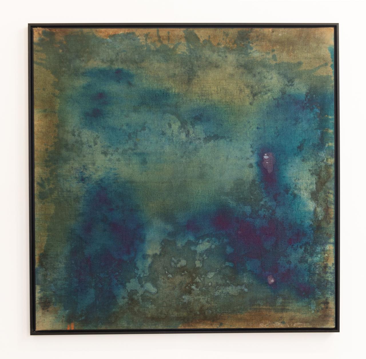 Dipingere con le muffe, Ttozoi al Museo Carlo Bilotti Aranciera di ...