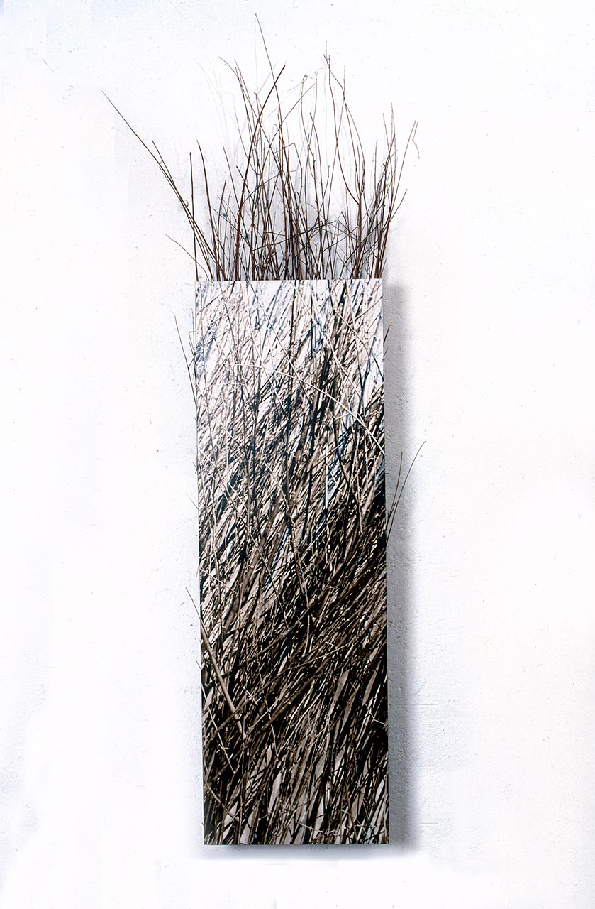 Nataly Maier Immagini nello spazio - art a part of cult(ure)